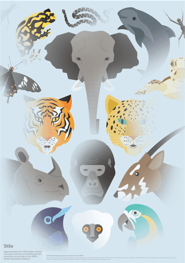 STEAM: Art of Science | Stile Education