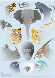 STEAM: Art of Science | Stile Education