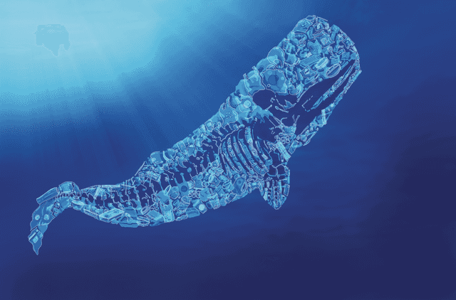 STEAM: Art of Science | Stile Education