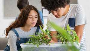 The world-class science curriculum for Oregon | Stile Education